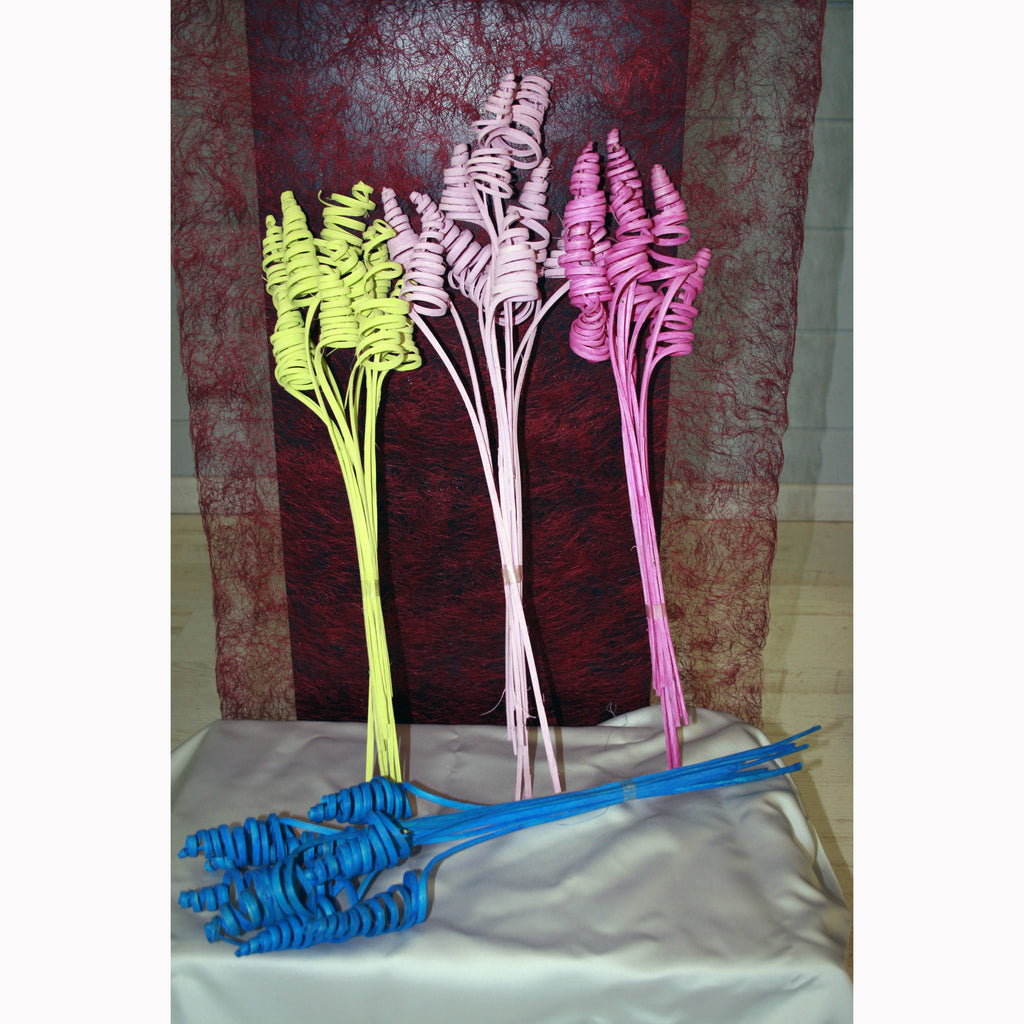 Cane Spring – VilaVerdSec